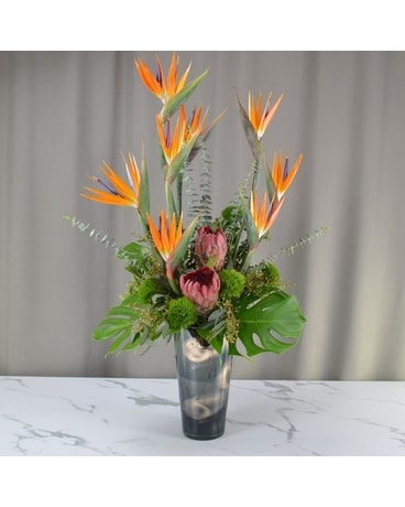 Luxury Delivery in Dallas, TX | McShan Florist