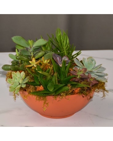 Everyday Delivery in Dallas, TX | McShan Florist