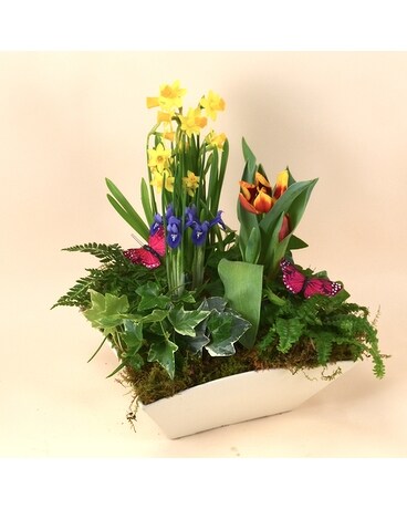 Plants Delivery in Dallas, TX | McShan Florist