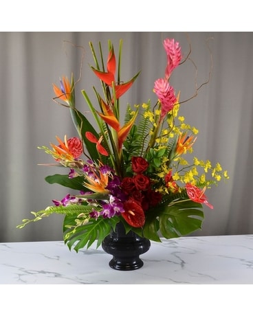 Tropical Delivery in Dallas, TX | McShan Florist