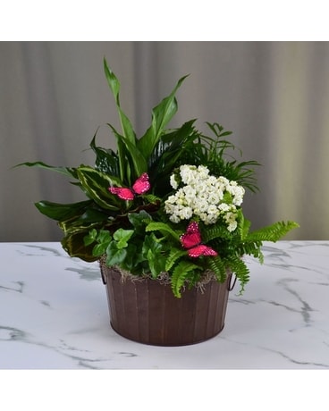 McShan Butterfly Garden in Dallas, TX | McShan Florist