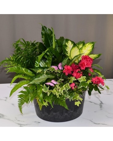 Fresh Flowers & Flower Delivery in Grand Prairie, TX | McShan Florist