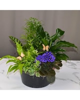 McShan Luther Garden in Dallas, TX | McShan Florist