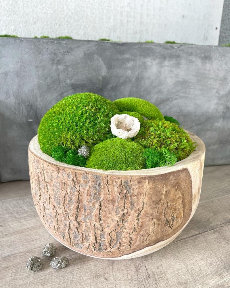 Permanent Botanicals - King Florist of Austin