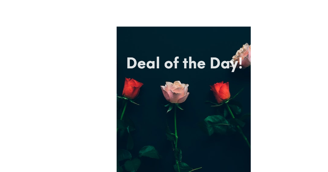 Vienna Florist - Flower Delivery by Tysons Florist & Gifts LLC