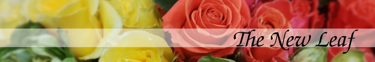 New Leaf Florist