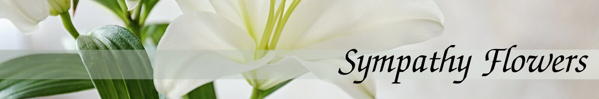 Sympathy New Leaf Florist