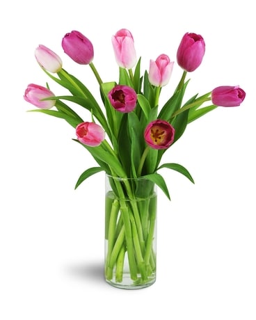 Florist Norfolk VA - Flower Delivery Norfolk Virginia