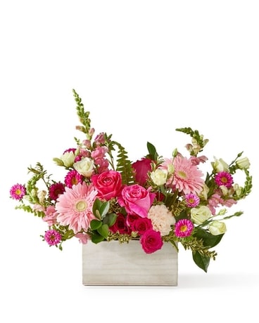 Too Cute in Washington DC - Lee's Flower Shop