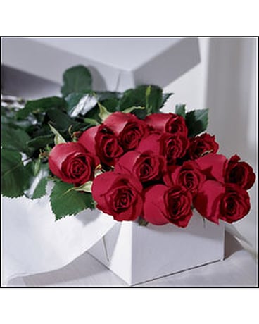 One Dozen Boxed Roses in Charleston WV - Young Floral Company
