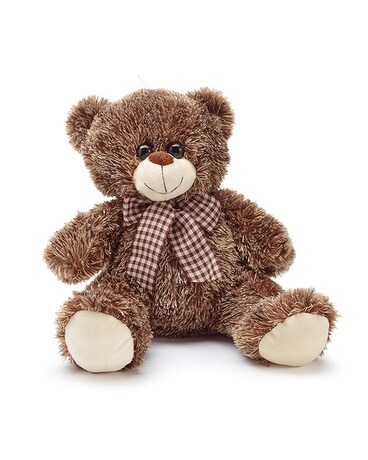 Fuzzy Bear in Marshfield WI - Hefko Floral Company