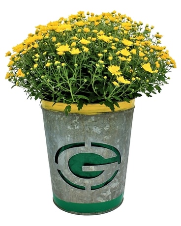 Blooming Plants - Dish Gardens, Flowering Plant Baskets, Flowering Plants