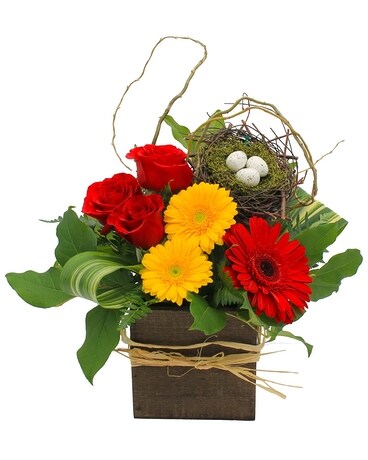 Appleton WI Florist - Flower Delivery Appleton WI, Memorial Florists ...
