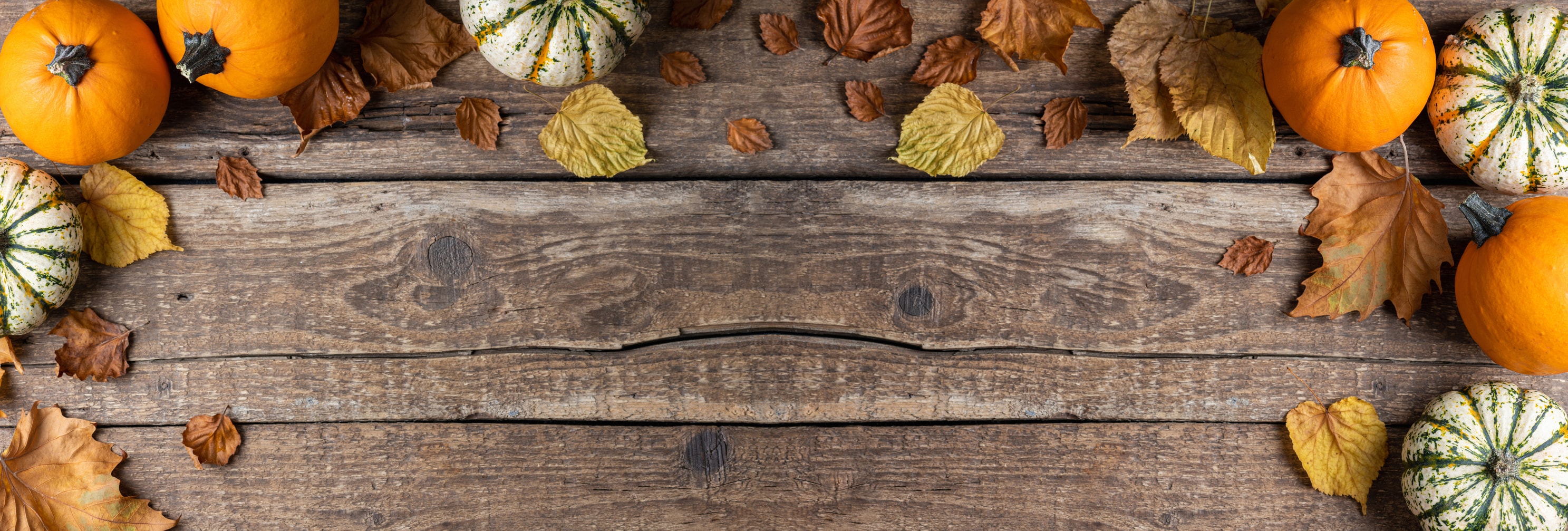 Denver Florist - Flower Delivery by Ed Moore Florist