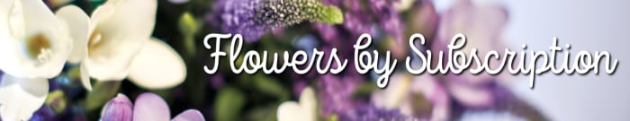 Denver Florist - Flower Delivery by Ed Moore Florist