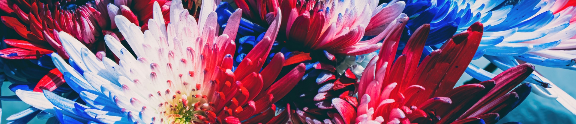 Chicago Florist - Flower Delivery by Ashland Addison Florist Co