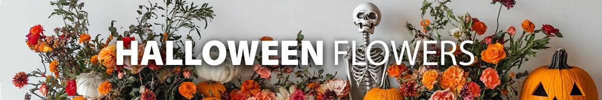 Denver Florist - Flower Delivery by Ed Moore Florist