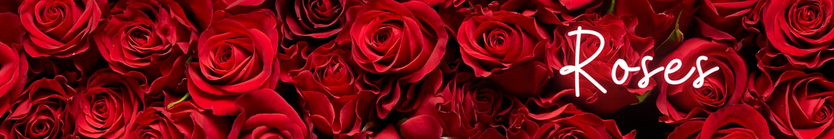 Denver, CO Roses Ed Moore Florist