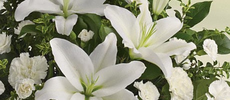 Florist Geneva NY Near Me - Flower Delivery Geneva New York