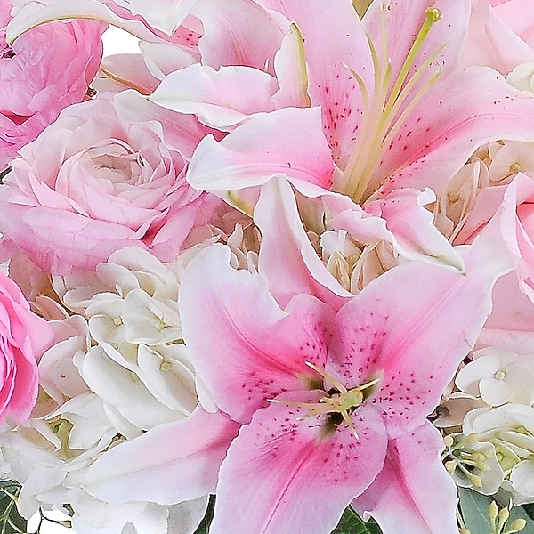 Flowers By Pink