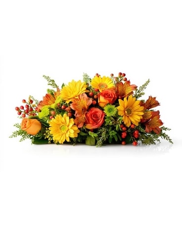 Florist Springfield OH Near Me - Flower Delivery Springfield Ohio