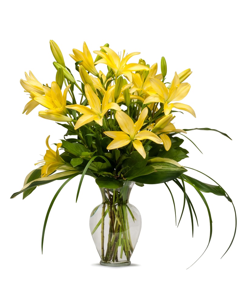 Lily in Virginia Beach VA - Virginia Beach Florist, Inc
