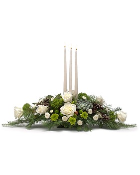 Christmas Delivery Corvallis OR - Penguin Florist & Flower Delivery