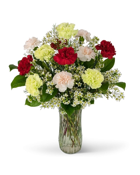 One Carnation Presentation Bouquet A Dozen Colorful Carnations In