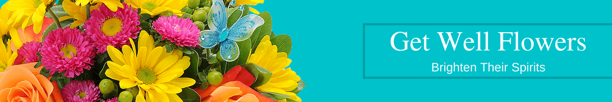 Get Well Flowers Delivery Winnipeg MB - Broadway Florists