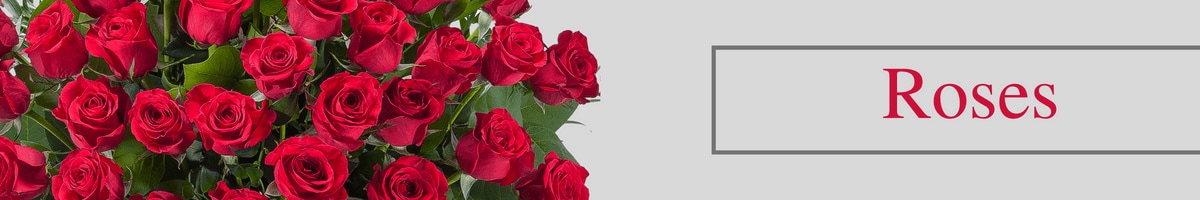 Roses Delivery Asheboro NC - Burge Flower Shop