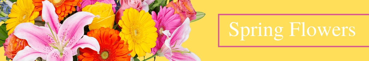 Spring Flowers Delivery Winnipeg MB - Broadway Florists
