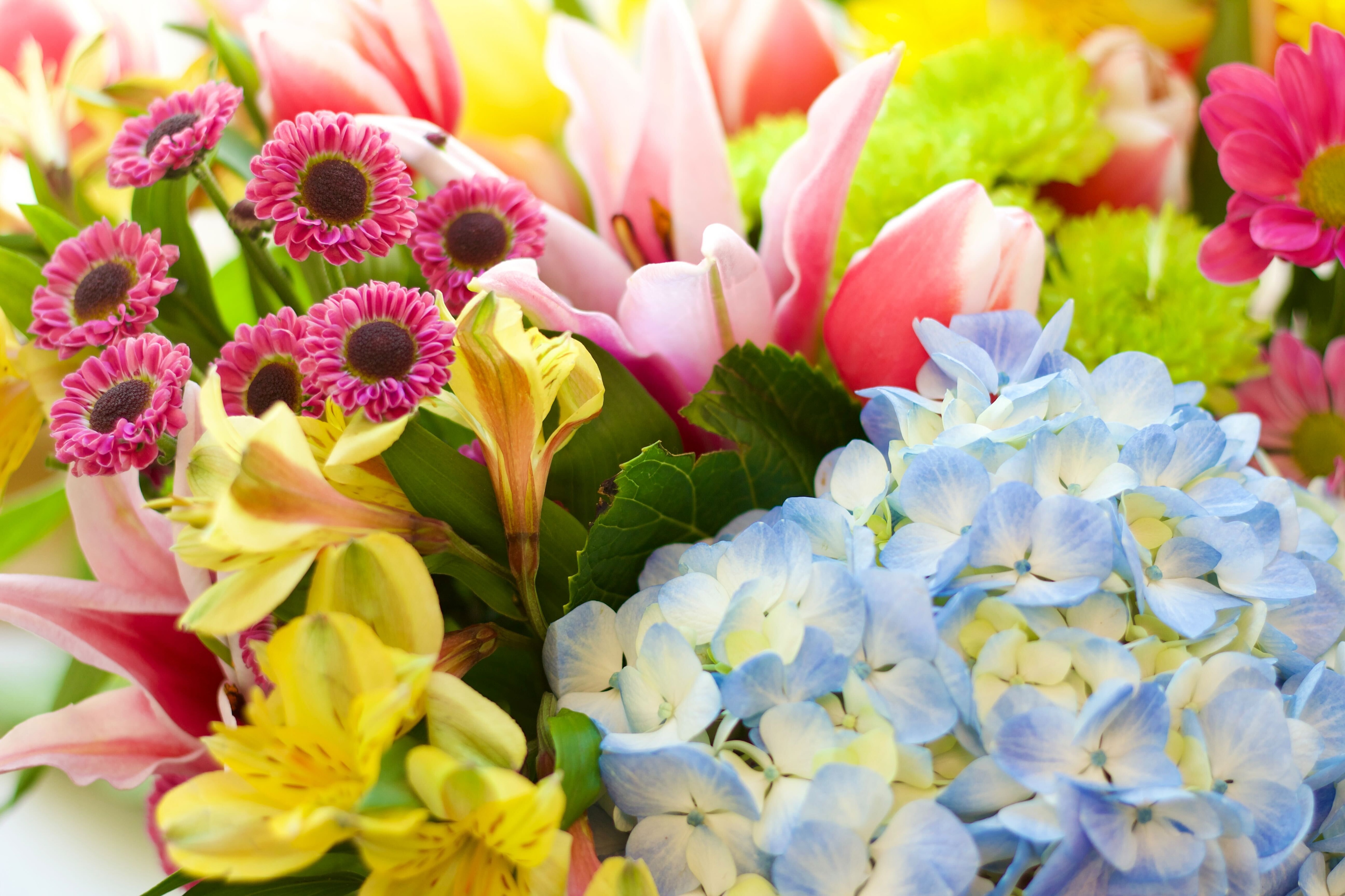 Dana Point CA Florist & Flower Delivery - Flower Shop Near Me - Blooms ...