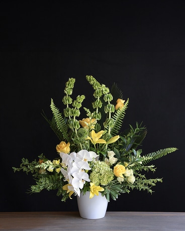 Washington DC Florist & Flower Delivery - Caruso Florist