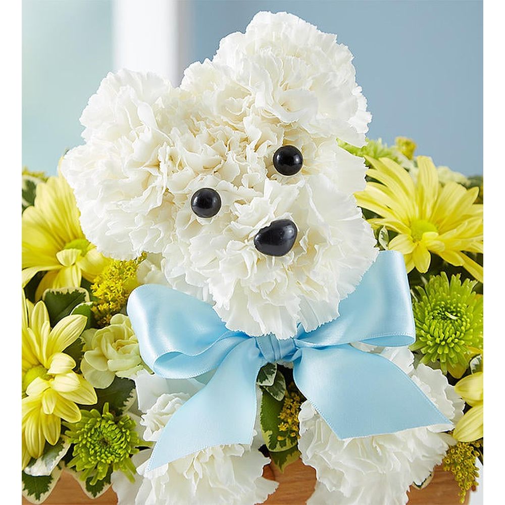 Dog flower arrangement store