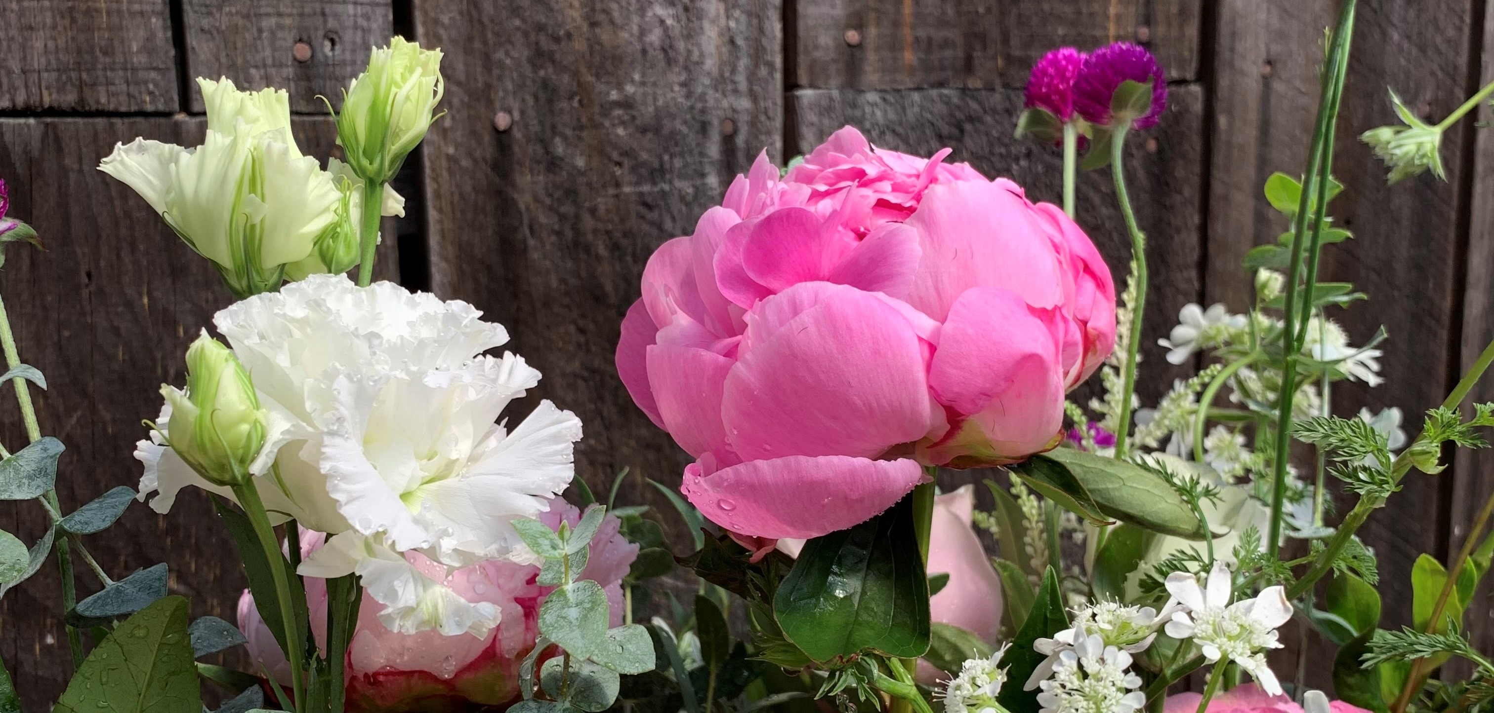 Marion Florist - Flower Delivery by Eden Florist & Garden Shop