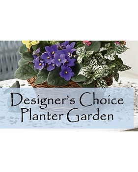 Live Plants, Mixed Garden Basket Delivery Timmins ON - Timmins Flower ...