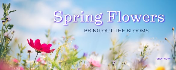 Think Spring Facebook Covers 5 Free Spring Facebook Cover Photos | I