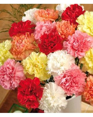Carnation Bouquet in Owen Sound ON - McDonald's Flower Cart