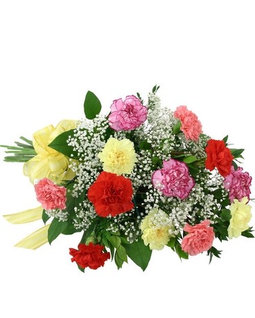 Carnation Bouquet in Owen Sound ON - McDonald's Flower Cart