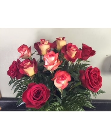 Shades of Red Roses in St. Johnsbury VT - Artistic Gardens