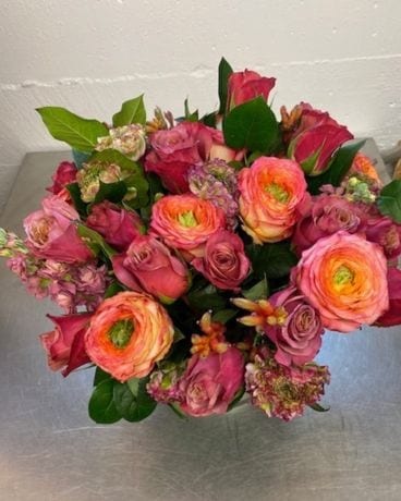 Houdini roses in Dorchester MA - Cedar Grove Gardens