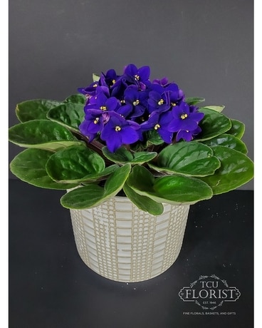 Plants Delivery Fort Worth TX - TCU Florist & Flower Delivery