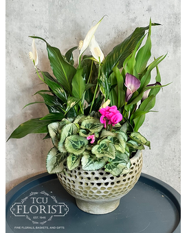 Florist Fort Worth TX - Flower Delivery Fort Worth Texas