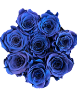 interflora blue roses
