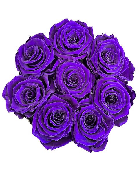 Real Purple Roses