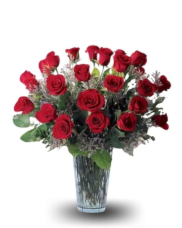 Tuesday Rose Special 2 Doz Red Roses with Misty Bl