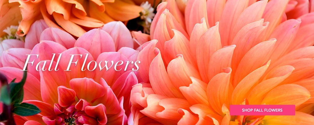 Bothell Florist - Flower Delivery by The Bothell Florist