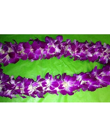 Graduation & Graduation Leis Delivery Berkeley CA - Campus Flowers
