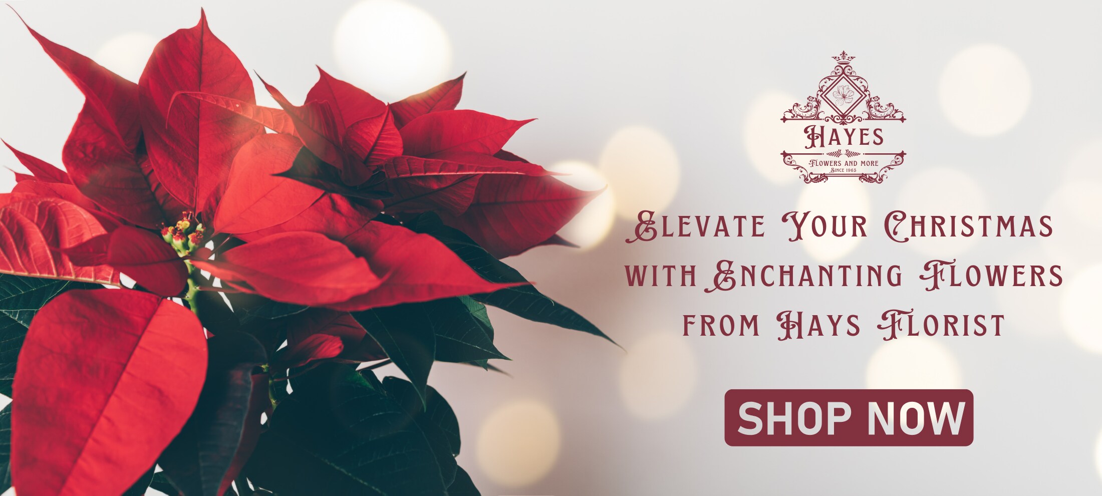 Florist in Pinellas Park | Florist Near Me | Flowers Delivery