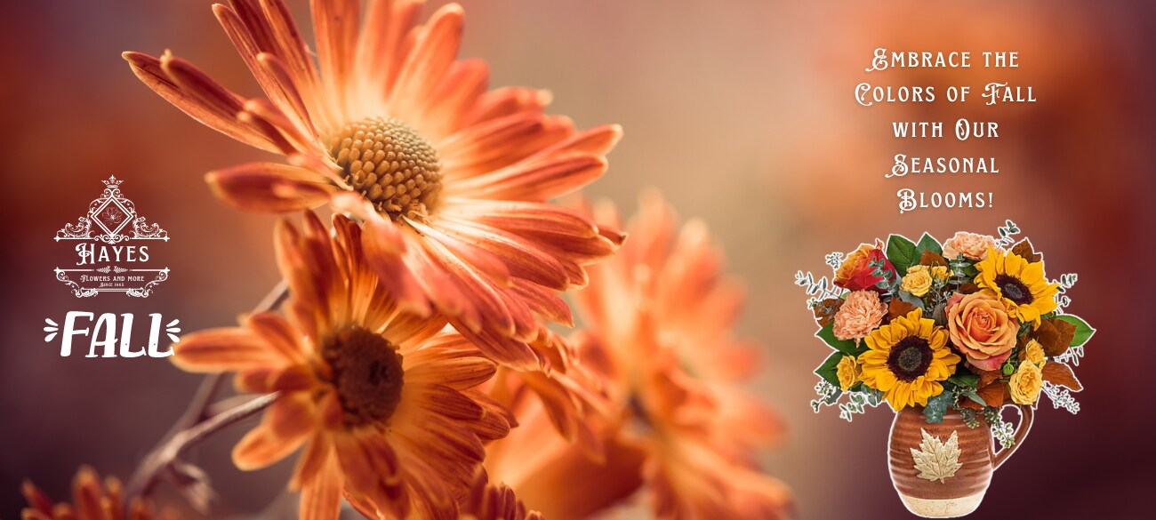 Florist in Pinellas Park | Florist Near Me | Flowers Delivery